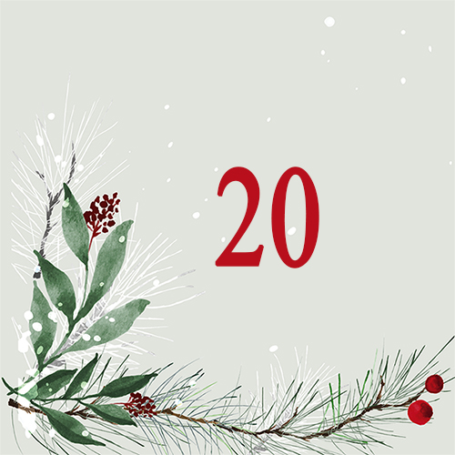 20. Dezember - Bibleothek
